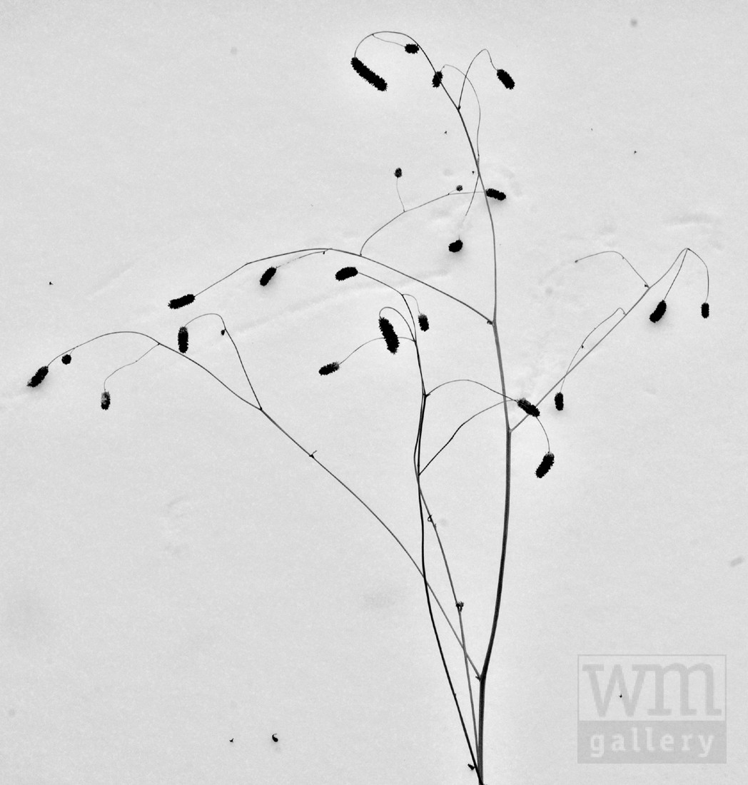 Peter Veltman “Soms was het still” 14.10 – 12.11.2022 : Gallery WM